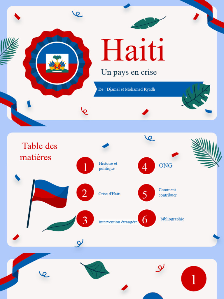 Ong Haiti | PDF | Haïti | Relations internationales