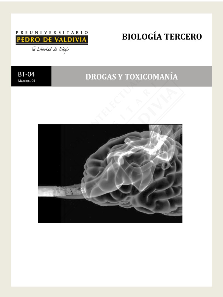 Drogas y Toxicomania | PDF | La dependencia de sustancias | Drogas