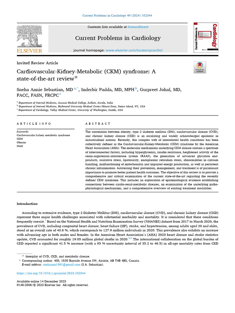 Cardiovascular-Kidney-Metabolic (CKM) Syndrome. A State-Of-The-Art ...
