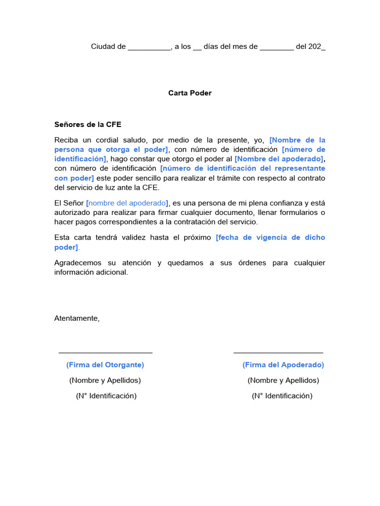 Carta Poder para CFE: Trámite de Luz | PDF