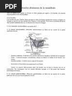 Anatomie du Muscle Sterno-Cléido-Mastoïdien | PDF | Cou | Artère ...