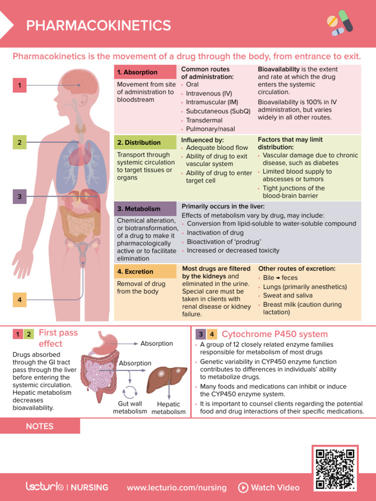 Nursing CS Pharmacokinetics 02 | PDF | Bioavailability | Pharmacokinetics