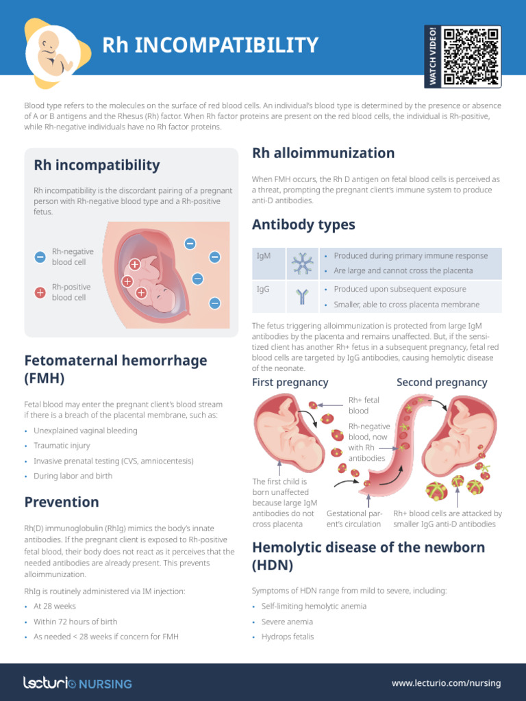 Nursing CS Rh-Incompatibility 02 | PDF | Antibody | Clinical Pathology