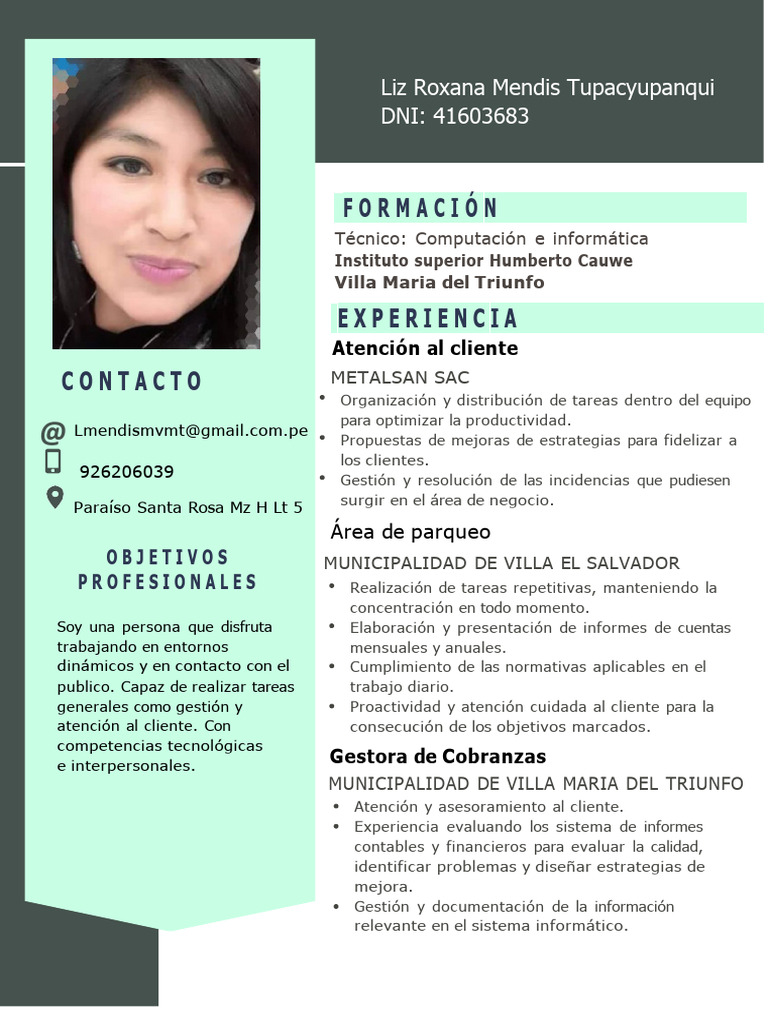 CV Liz - Editado | PDF | Informática | Business
