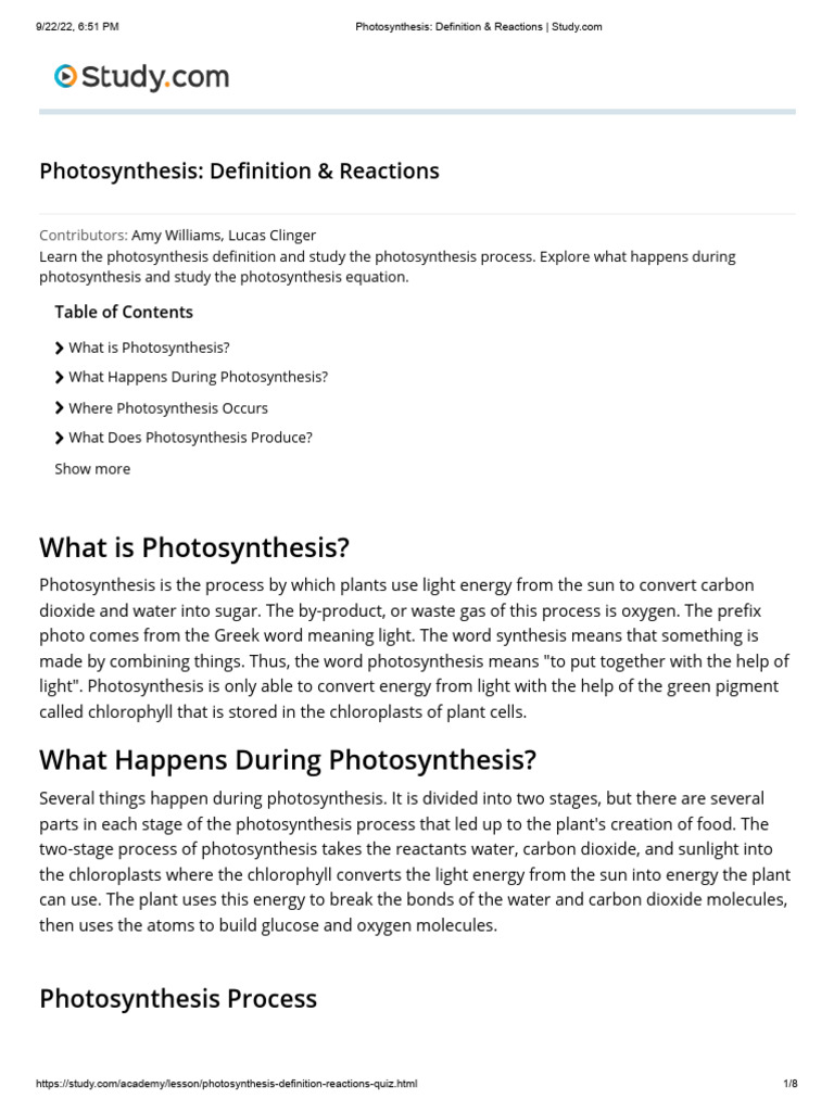 Understanding Photosynthesis Process | PDF | Photosynthesis | Chloroplast