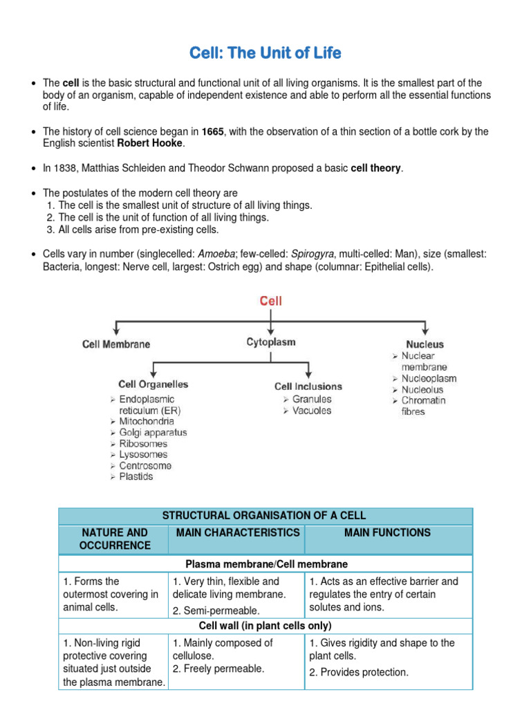 Understanding Cell Theory Basics | PDF | Cell (Biology) | Endoplasmic ...