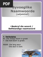 Intensive Form For Afrikaans | PDF