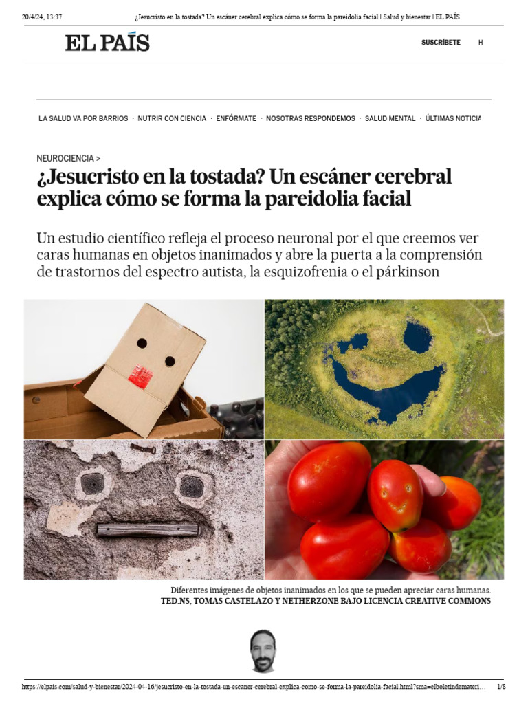 Cómo se forma la pareidolia facial | Descargar gratis PDF | Percepción ...
