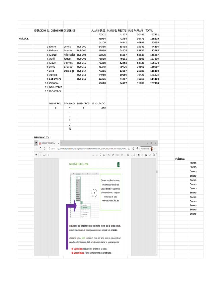 Capitulo 1 - Excel | PDF