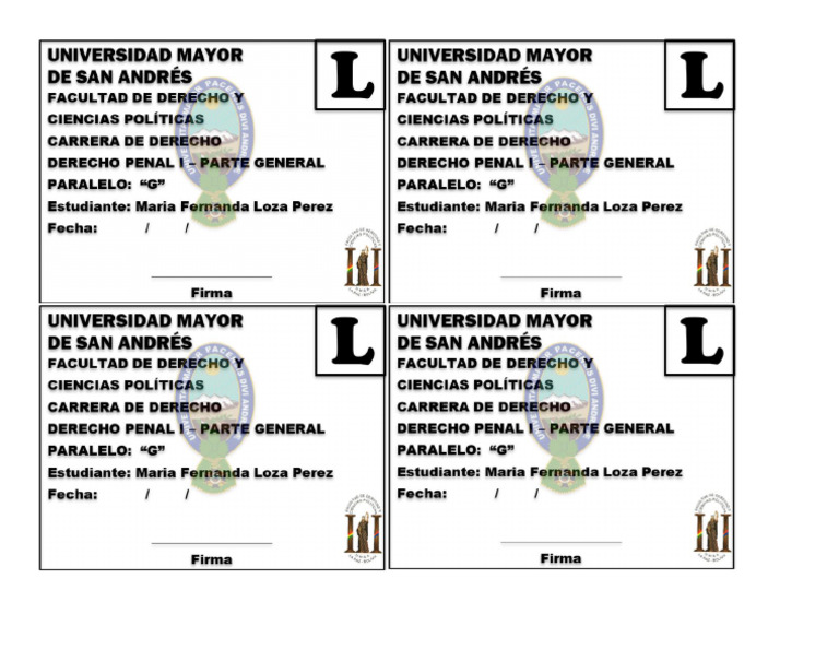 Formato Umsa 2 | PDF