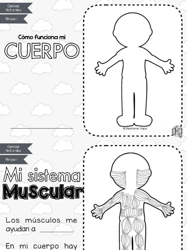 Mi Cuerpo Aparato Siste MEEP | PDF