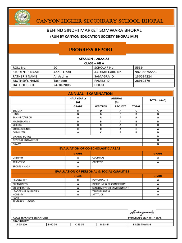 VII A MARKSHEET 2023 | PDF | Science | Urdu