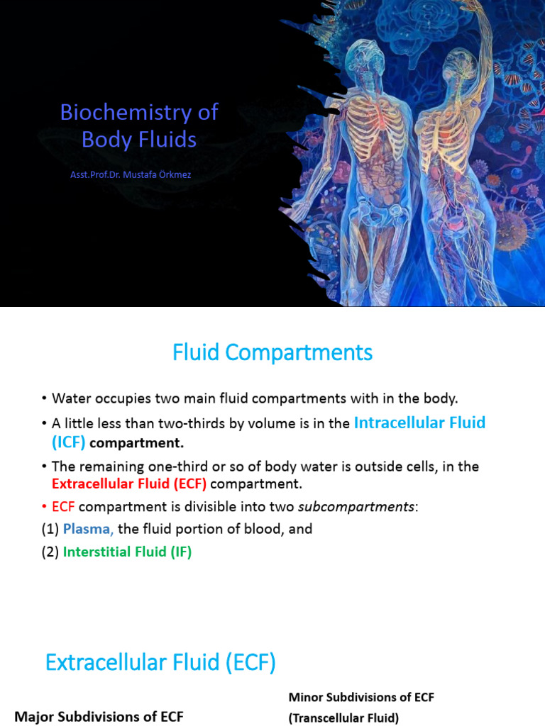 1.biochemistry of Body Fluids '24 | PDF | Cerebrospinal Fluid ...
