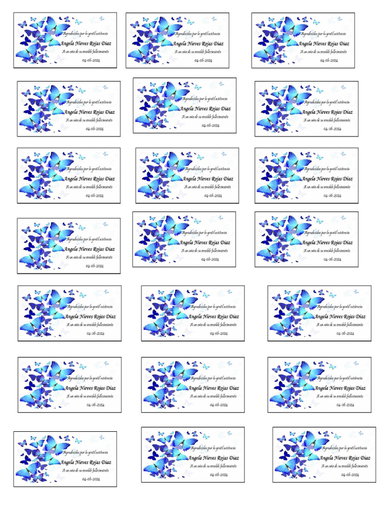 Angela Nieves Targetas | PDF