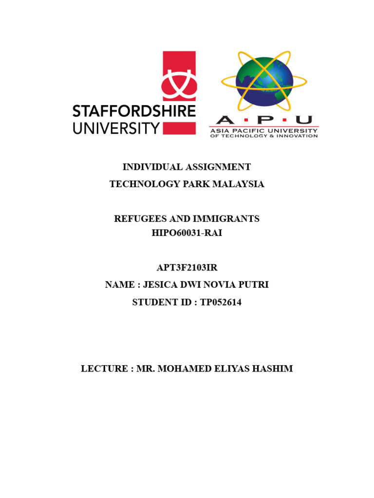 RAI Individual Assignment | PDF | Immigration | Human Migration