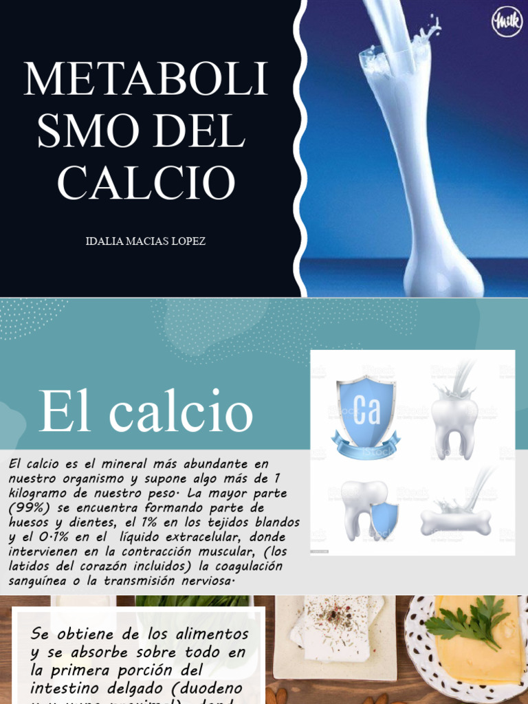 Metabolismo Del Calcio | PDF | Calcio | Osteoporosis