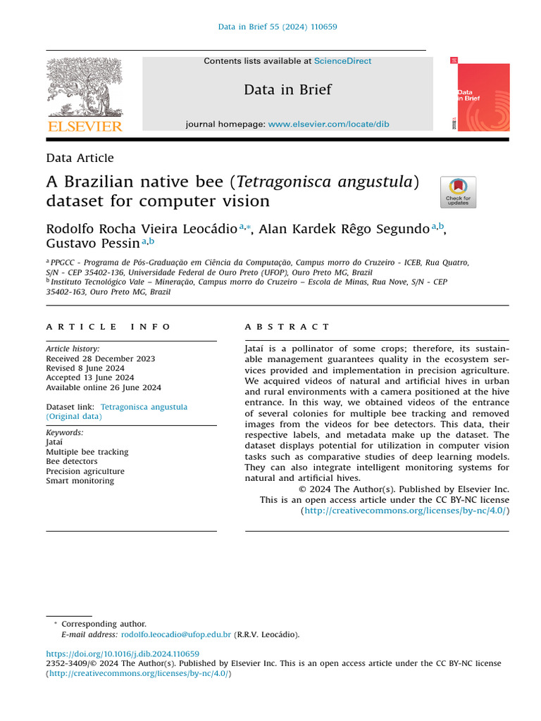 Brazilian Bee Dataset for AI Research | PDF | Beekeeping | Bees