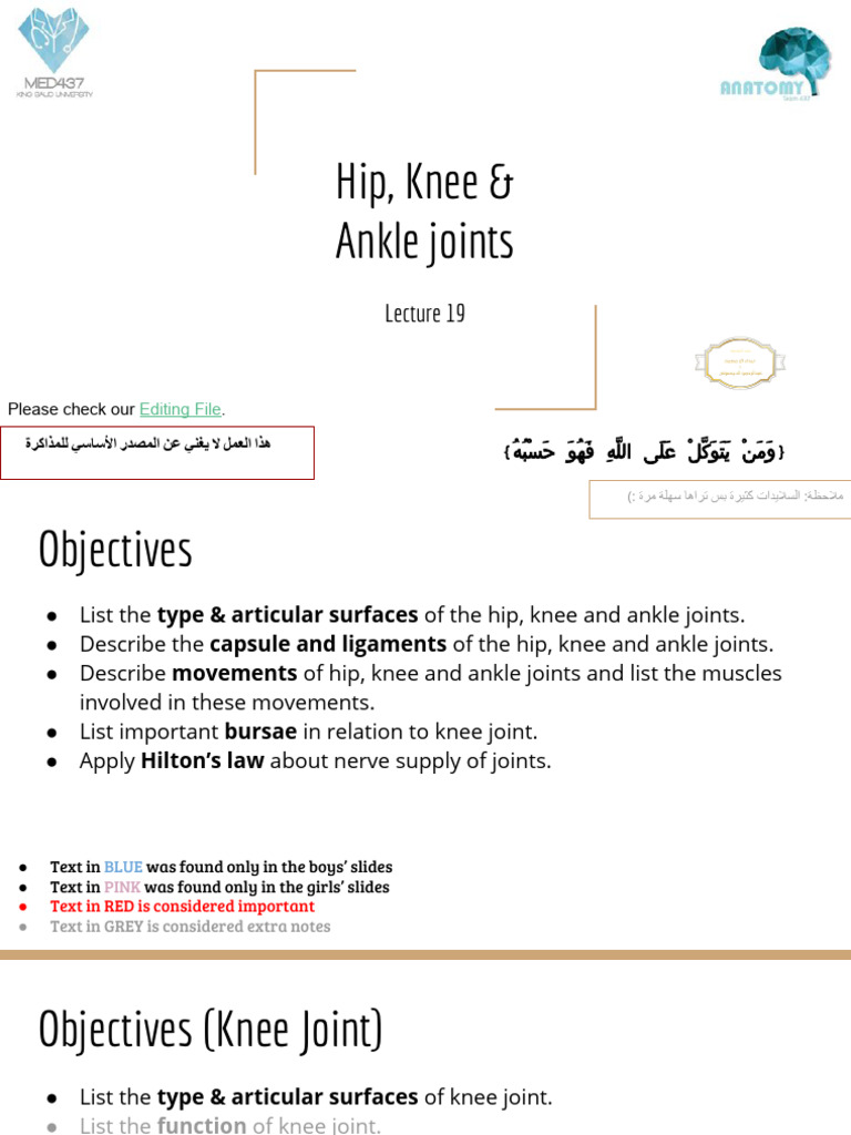 Lecture 19 - Hip, Knee & Ankle Joints | PDF | Knee | Hip
