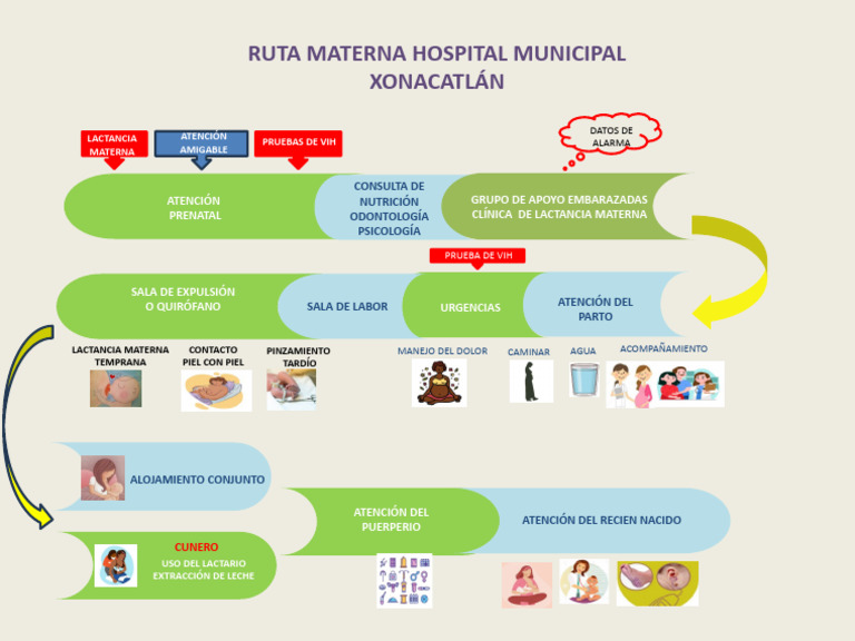 RUTA MATERNA (Imprimir 6 A Color, Tamaño Tabloide) | PDF