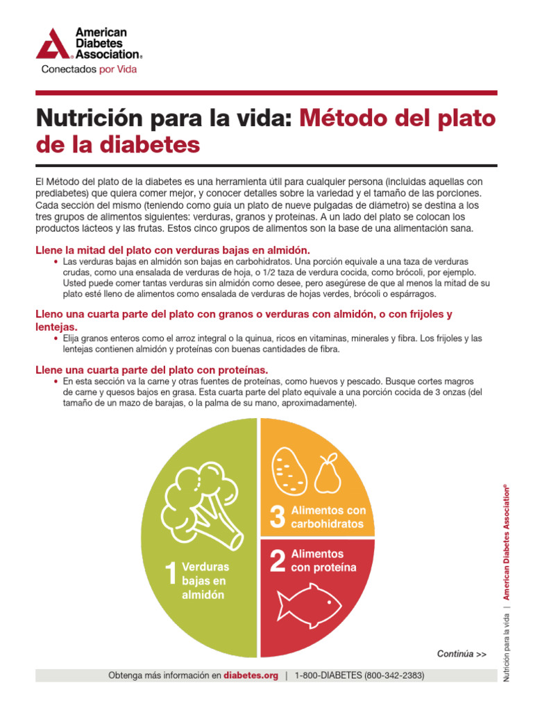 Método del Plato para Diabetes: Guía Nutricional | PDF | Alimentos ...