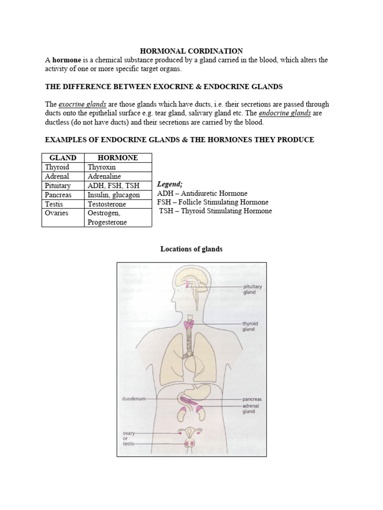 HORMONAL CORDINATION Print | PDF | Hormone | Endocrine System