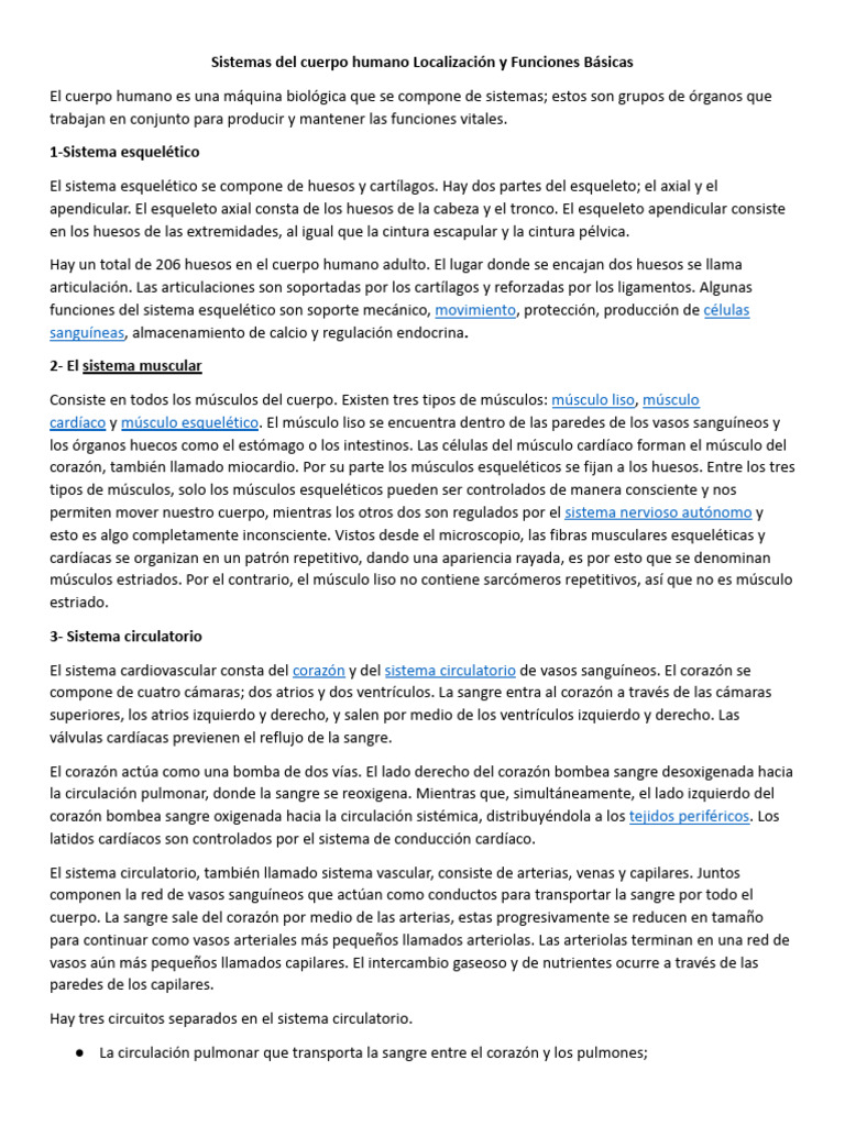 Sistemas Del Cuerpo Humano Localizaci-N y Funciones B-Sicas | PDF | Sistema circulatorio ...
