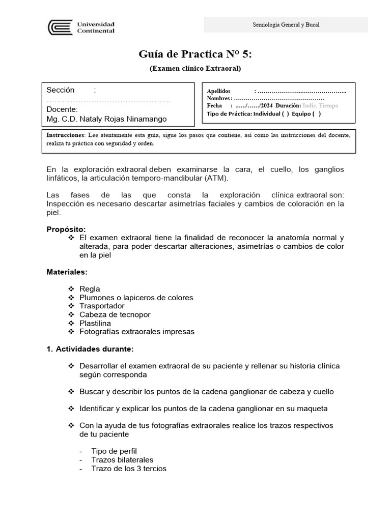 Guia Practica N 5 | PDF
