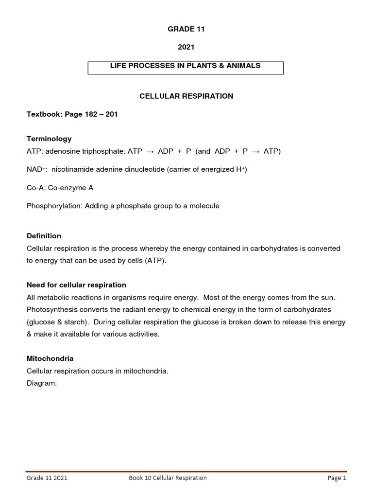 Book 10 CellularRespiration2021 | PDF | Cellular Respiration ...