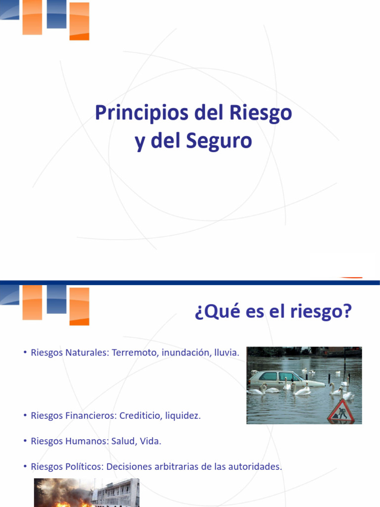 Principios Del Riesgo y Del Seguro | PDF | Póliza de seguros | Seguro