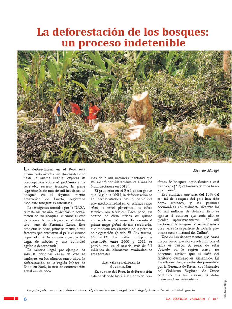 La Deforestacion de Los Bosques | PDF | Deforestación | Entorno natural