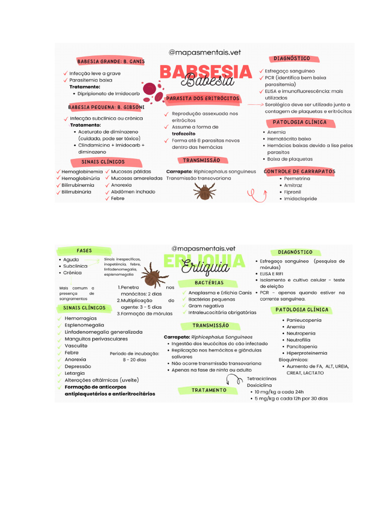 Doen As Infecciosas PDF para Impress o | PDF