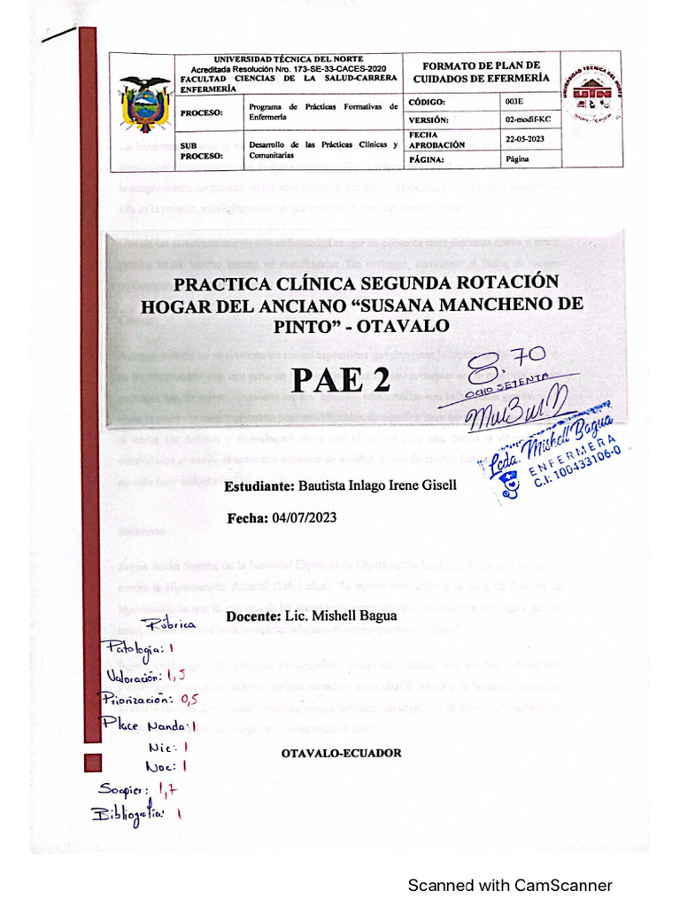 Pae 2 - Bautista Irene | PDF