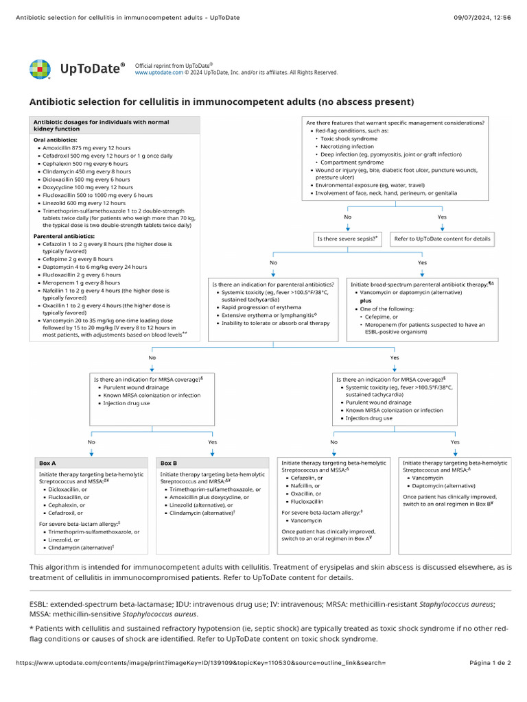 Antibiotic Selection For Cellulitis in Immunocompetent Adults ...