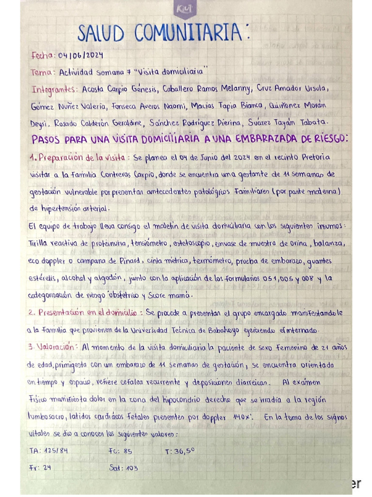 Visita Domiciliaria y Ficha Familiar - Suarez Tabata | PDF