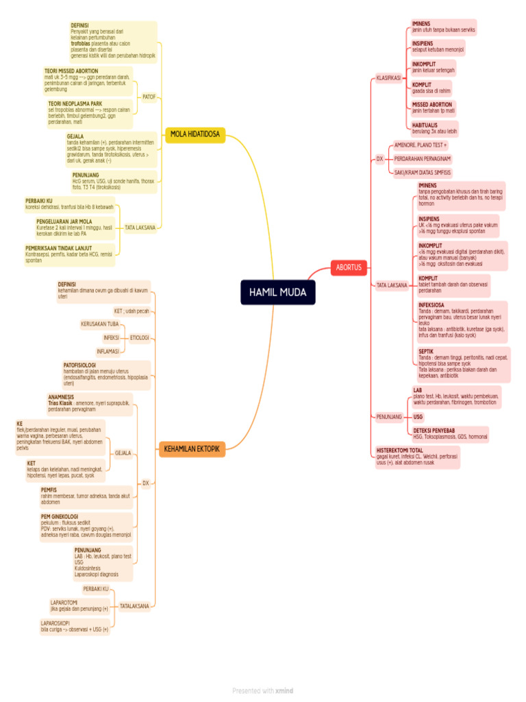 Mindmap 3 | PDF