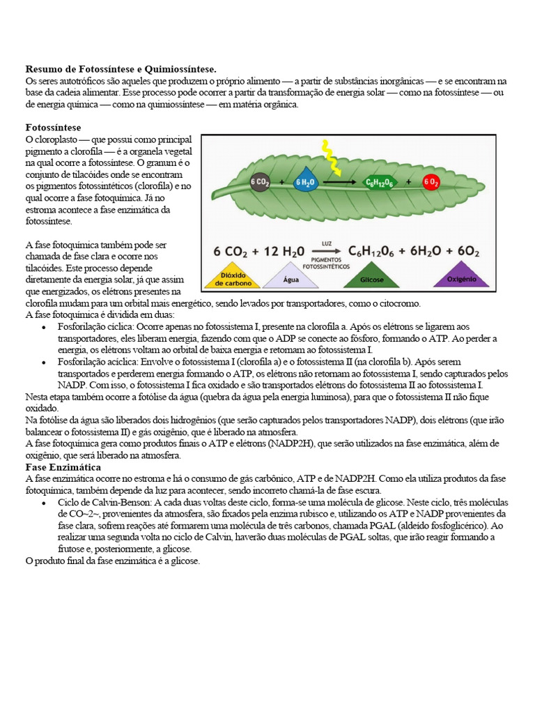 Resumo de Fotossíntese e Quimiossíntese | PDF | Trifosfato de adenosina ...