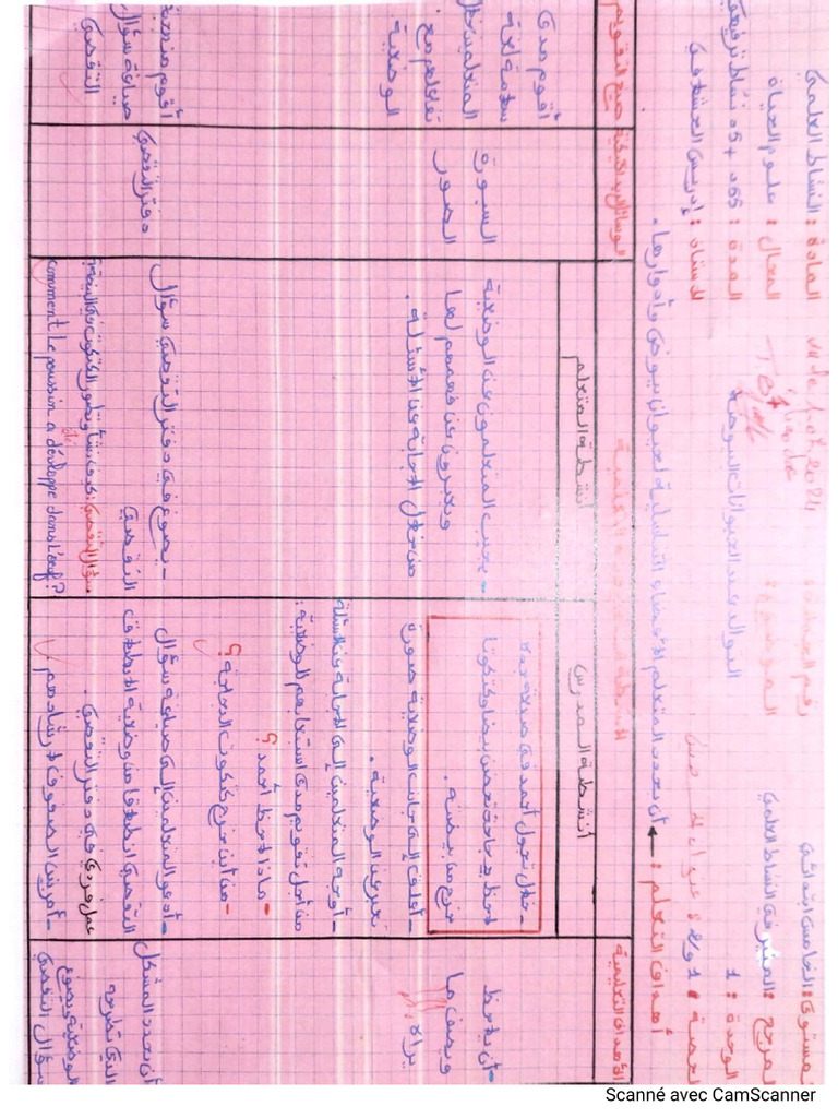 Fiche Pédagogique Ex_copie | PDF