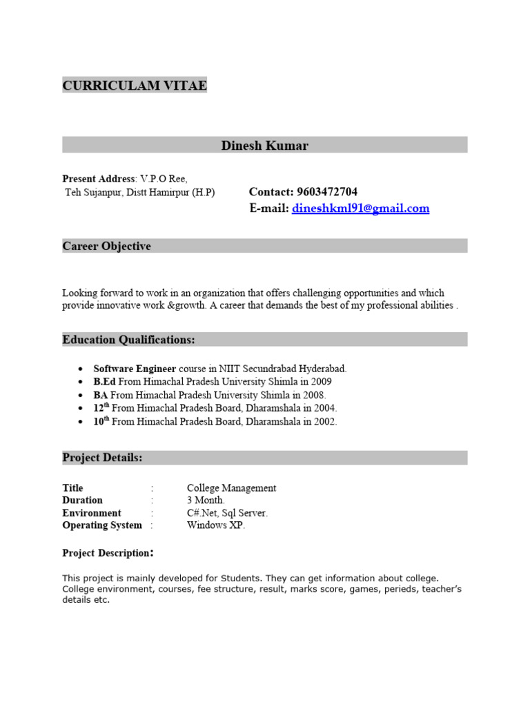 Dinesh Kumar's Software Developer CV | PDF