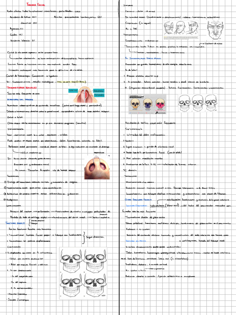 5 - Trauma Facial | PDF