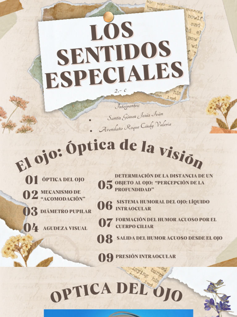 Ojo I. Óptica de La Visión | PDF | Ojo humano | Percepción visual