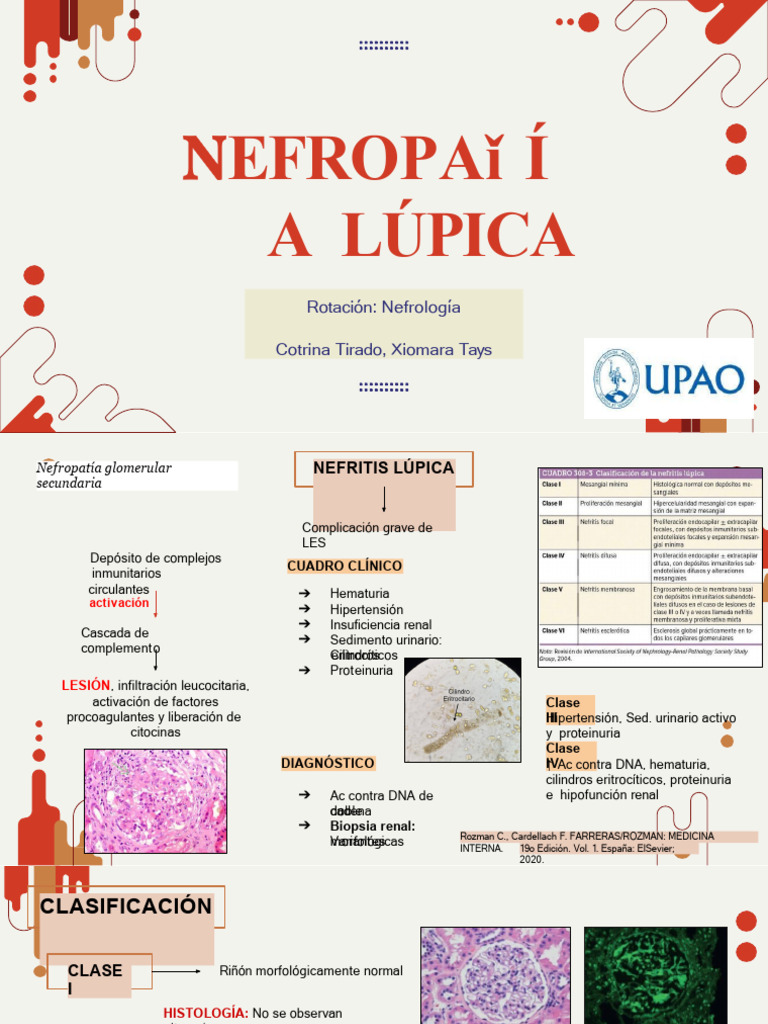 Nefritis Lúpica: Diagnóstico y Tratamiento | PDF | Enfermedades y ...