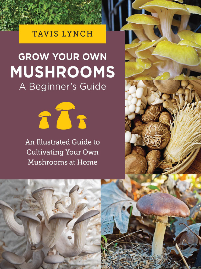 Grow Your Own Mushrooms | PDF | Mushroom | Trees