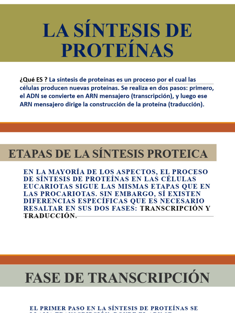 Proceso de Síntesis de Proteínas | PDF | Rna | Messenger Rna