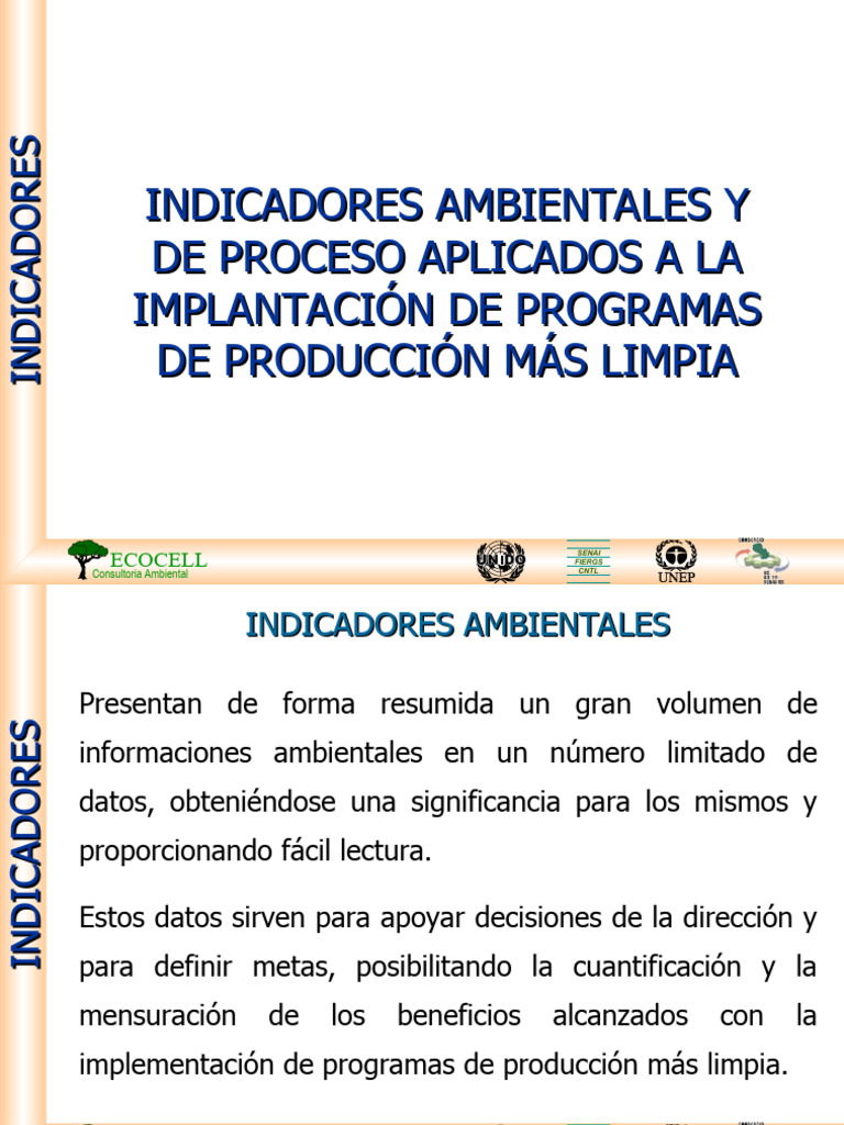 Indicadores Ambientales | PDF | Entorno natural | Business