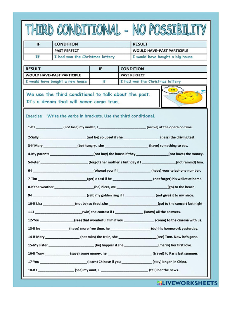 Third Conditional | PDF