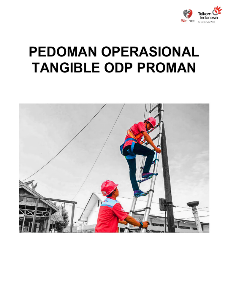 Pedoman Input Checklist Tangible Odp Proman | PDF | Griya & Taman | Teknologi & Rekayasa