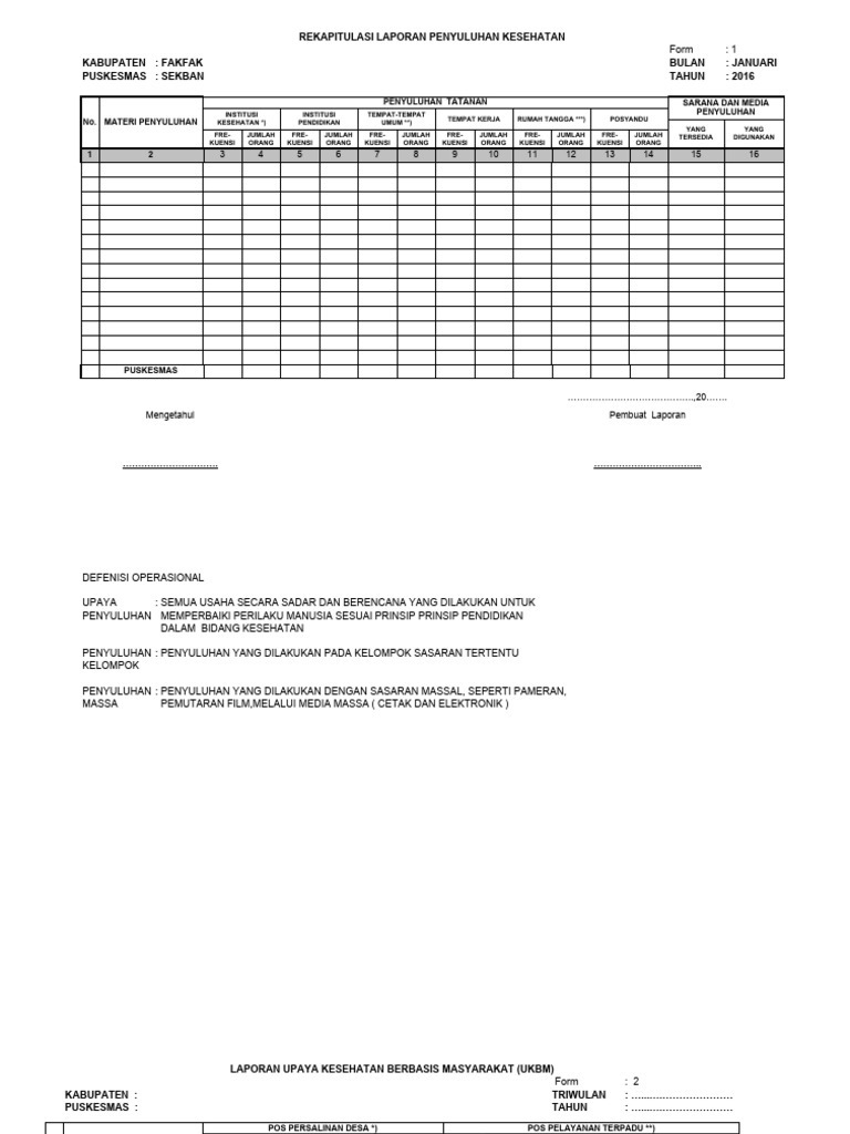 FORM - LAP.pUSKESMAS Promkes | PDF