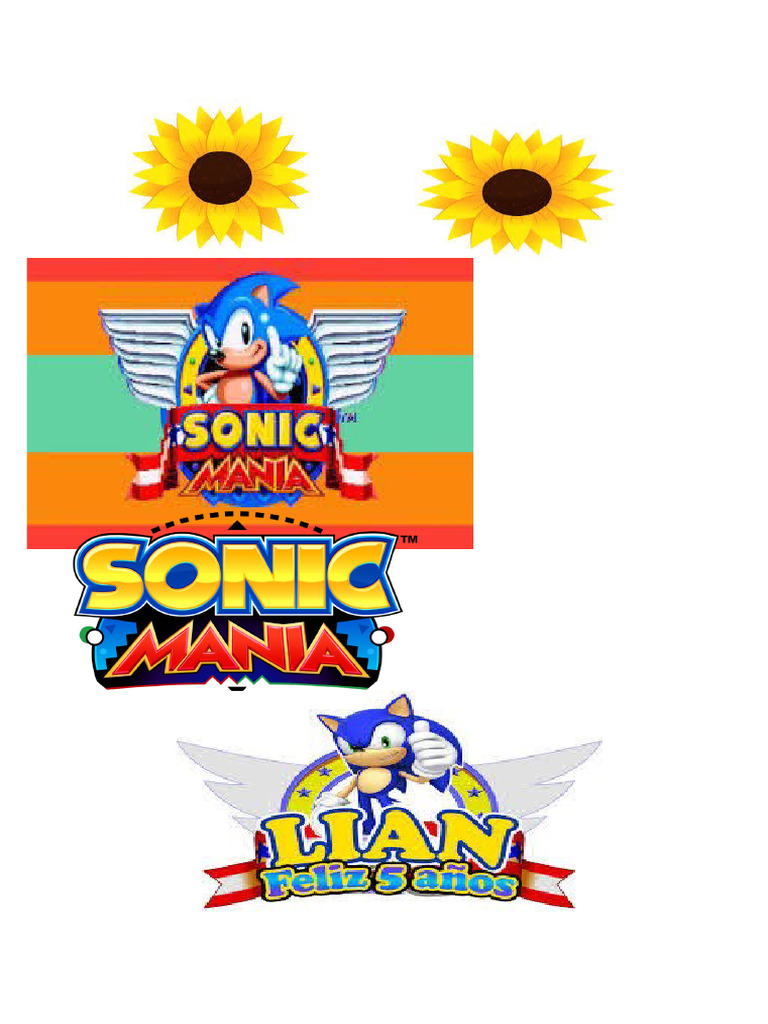 Sonic 2 Liam | PDF