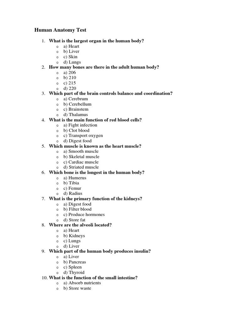Human Anatomy Test | Download Free PDF | Human Body | Muscle