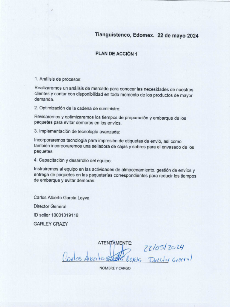 Plan de Accion | PDF